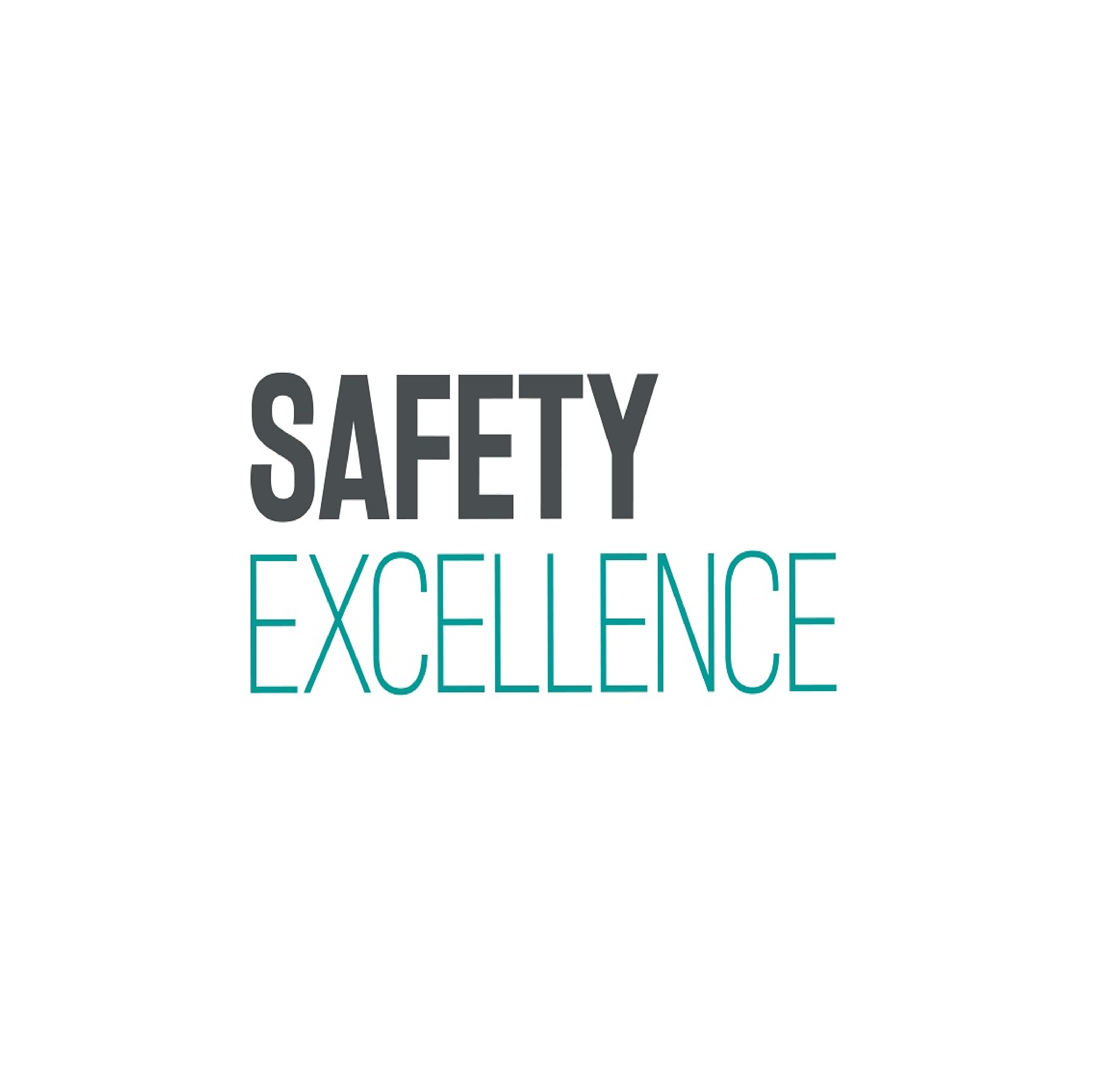 Safety Excellence Manifesto